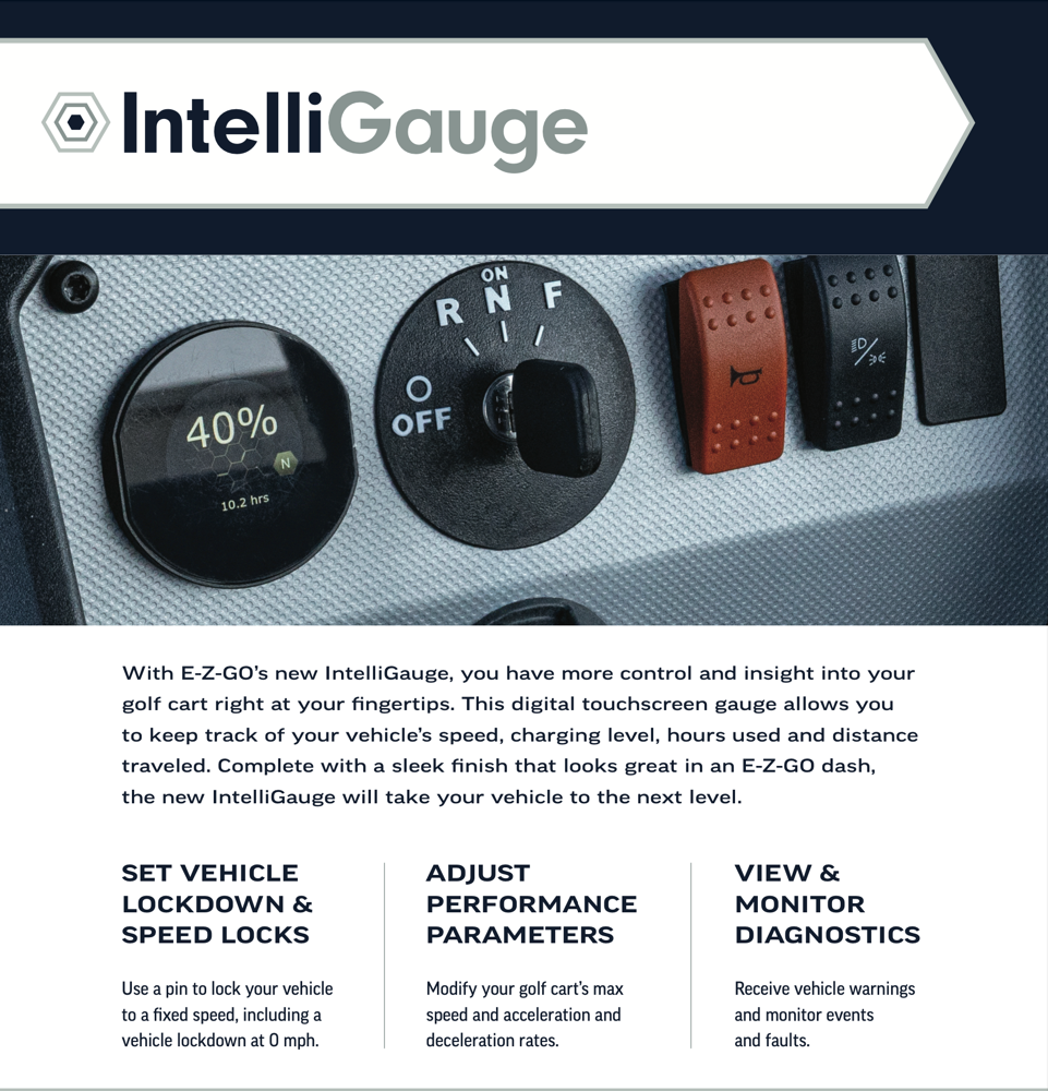 VIP Golf Cart Service - New & Used Golf Carts Sales, Service, and Parts ...